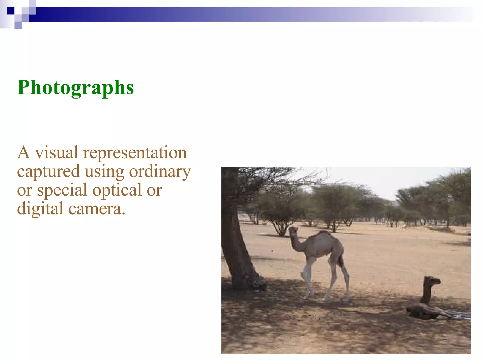 Visual Principles | PPT