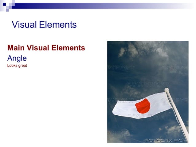 Visual Principles | PPT