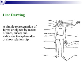 Types of Pictures | PPT