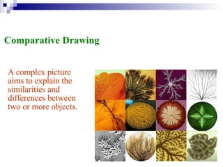 Types of Pictures | PPT