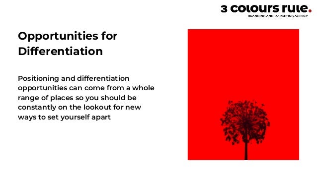 Sources of Brand Differentiation | PDF