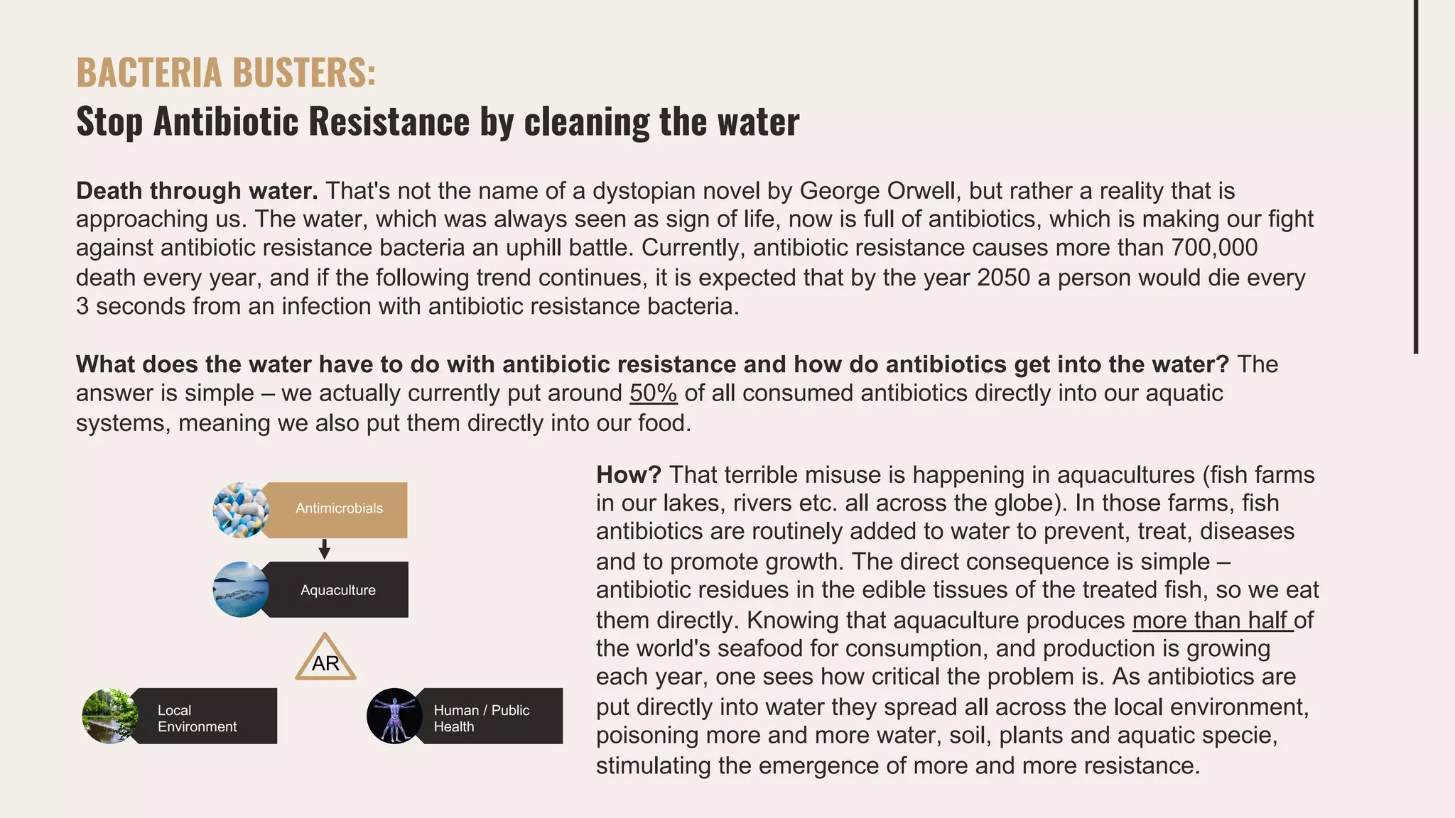 Bacteria Busters | PDF