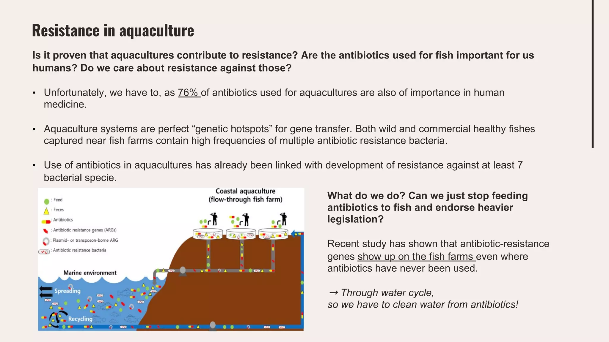Bacteria Busters | PDF | Agriculture | Industries