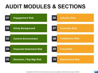 Financial Audit using AI: Risk-based Approach - My FinB | PPT