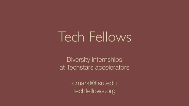 Tech fellows | PPT