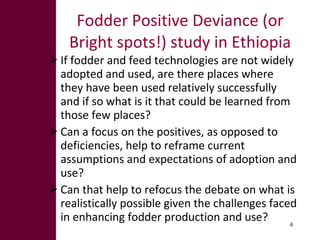 What explains pockets of success in fodder development? | PPT