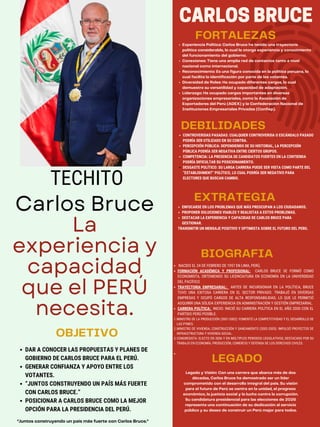 proyecto de publicidad TECHITO BRUCE.pdf