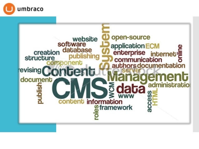 Umbraco CMS