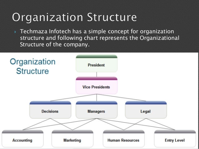 Techmaza Infotech - Project Management System