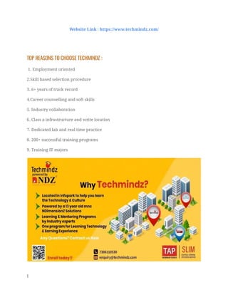 Techmindz .pdf