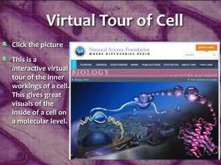 Technology Module Presentation | PPT