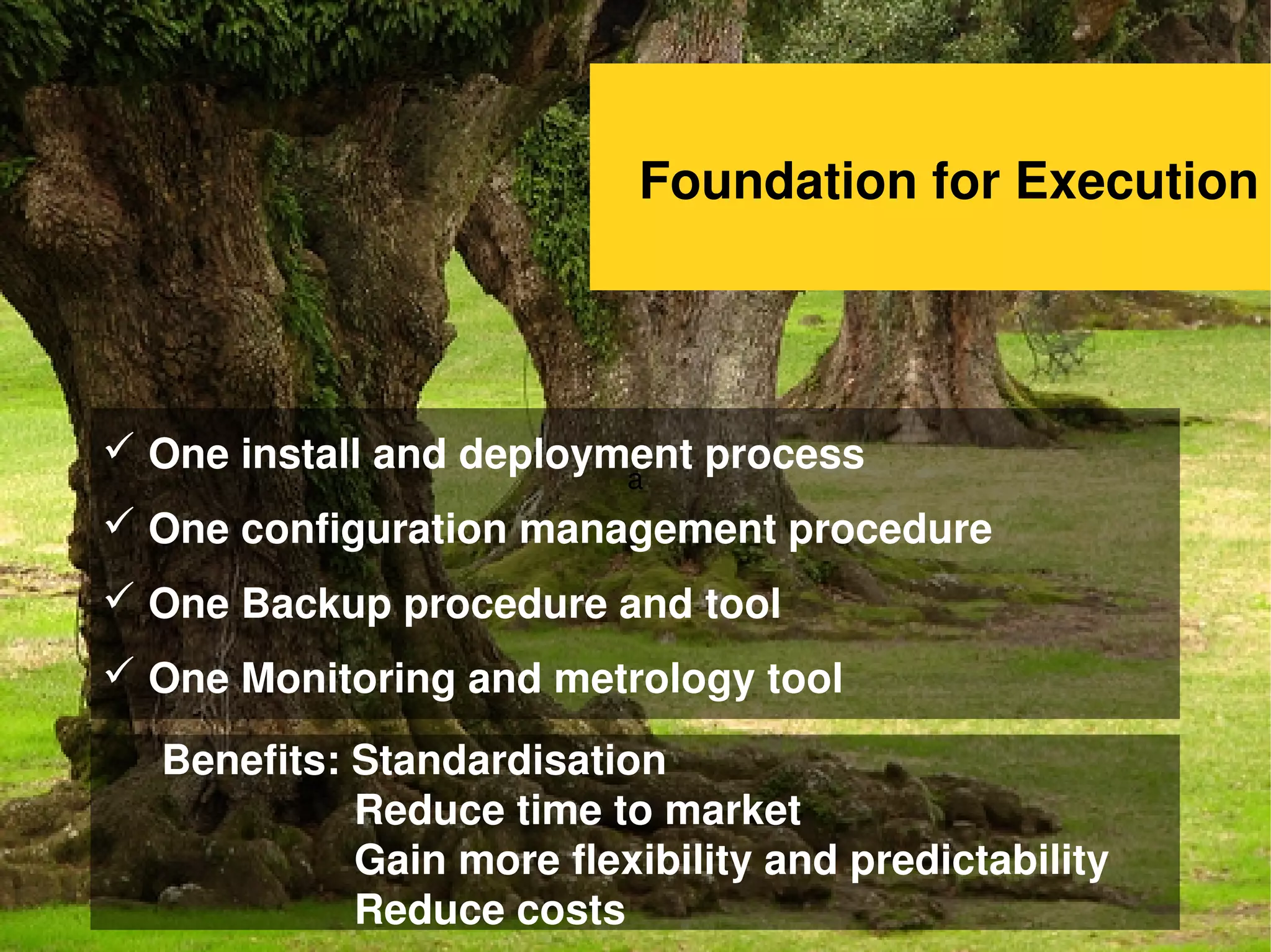 Technical strategy | PDF