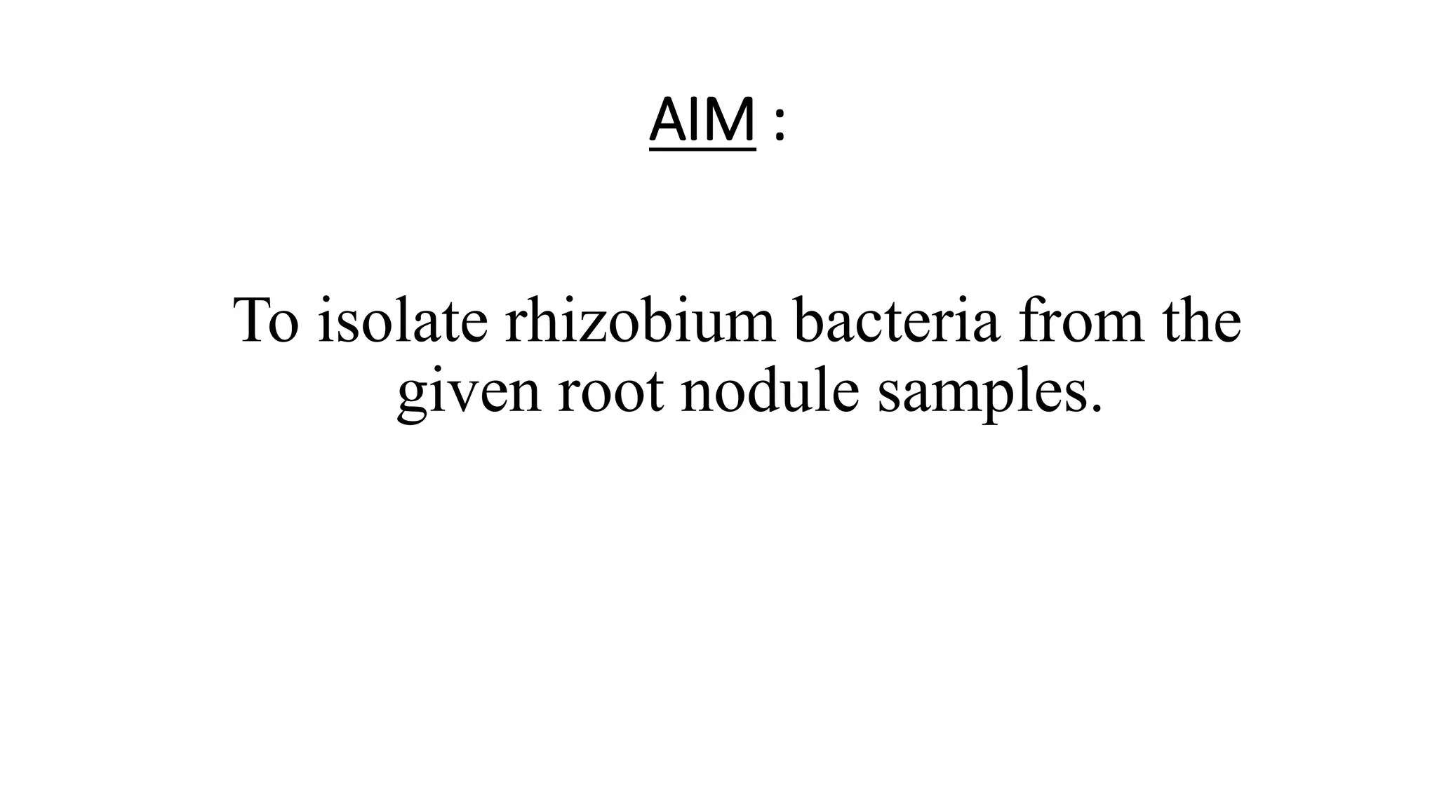 Technical%20Presentation%201.pptx