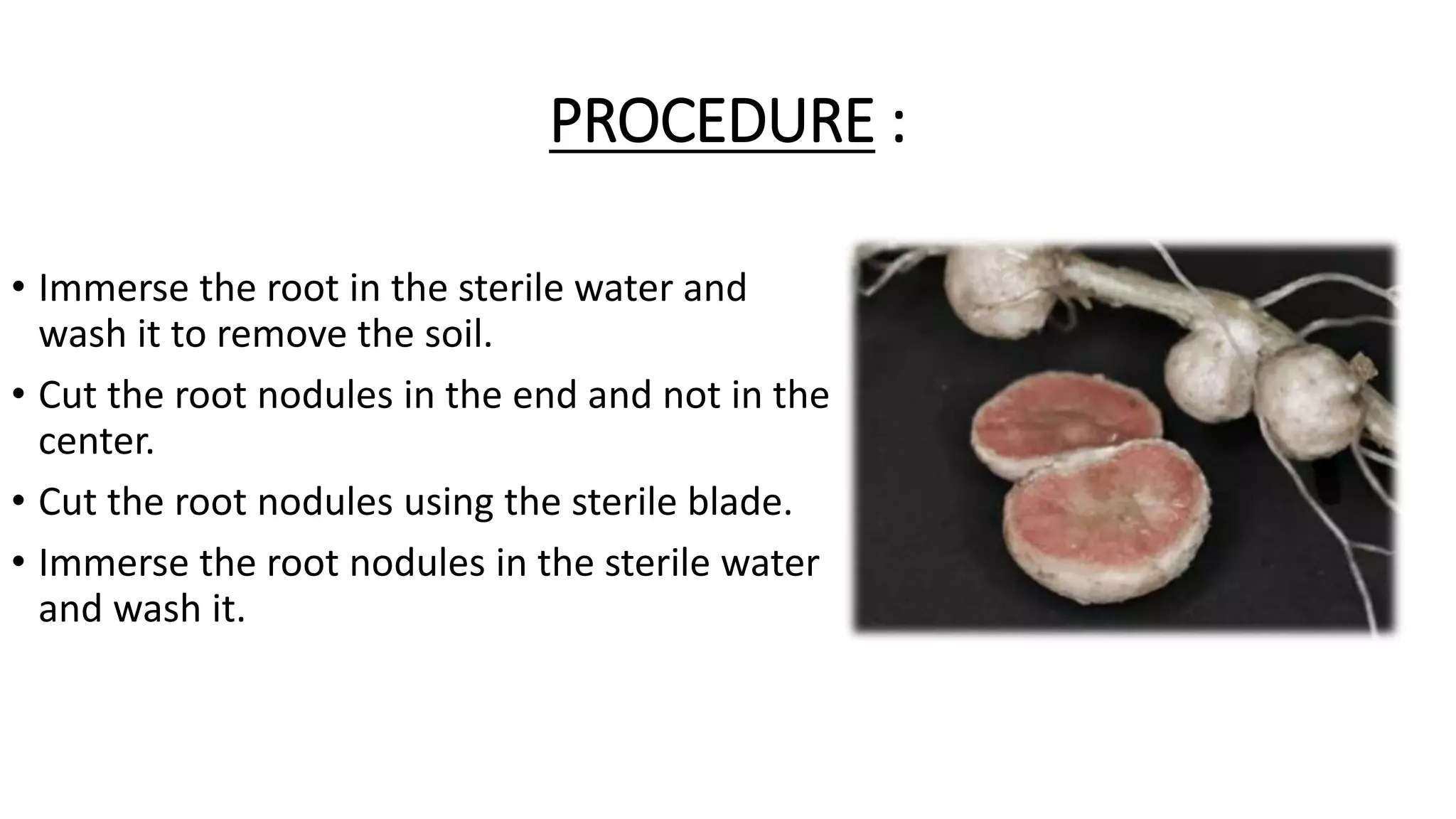 Technical%20Presentation%201.pptx