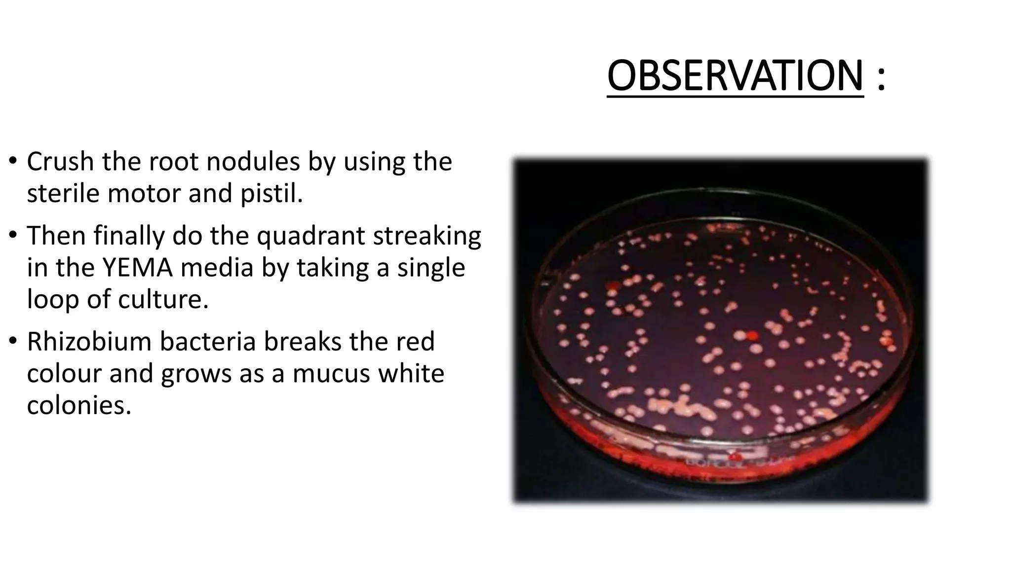 Technical%20Presentation%201.pptx
