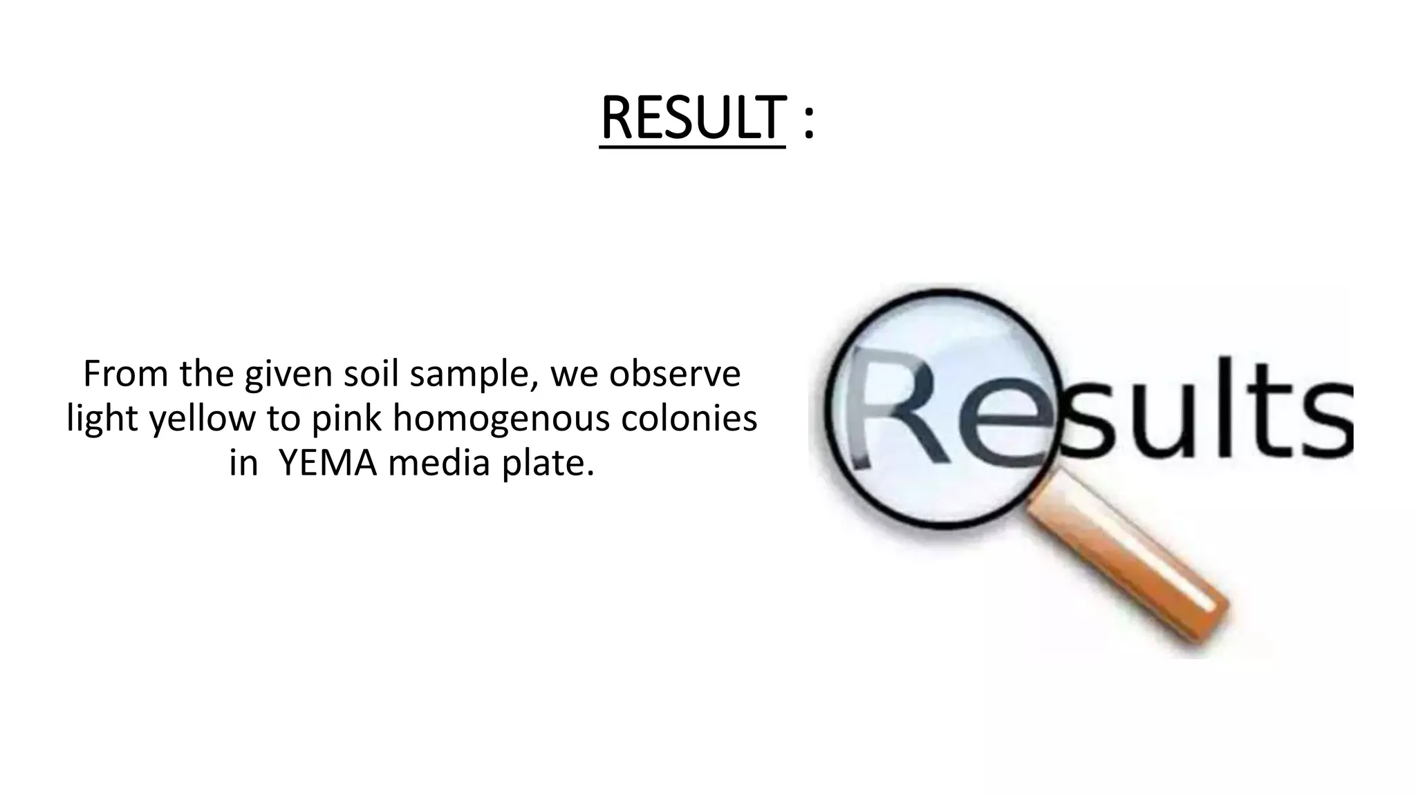 Technical%20Presentation%201.pptx