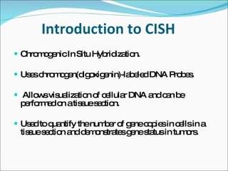 Technical Advances | PPT