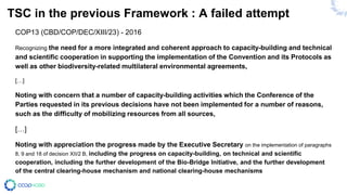 Technical and Scientific Cooperation in the KM GBF.pdf