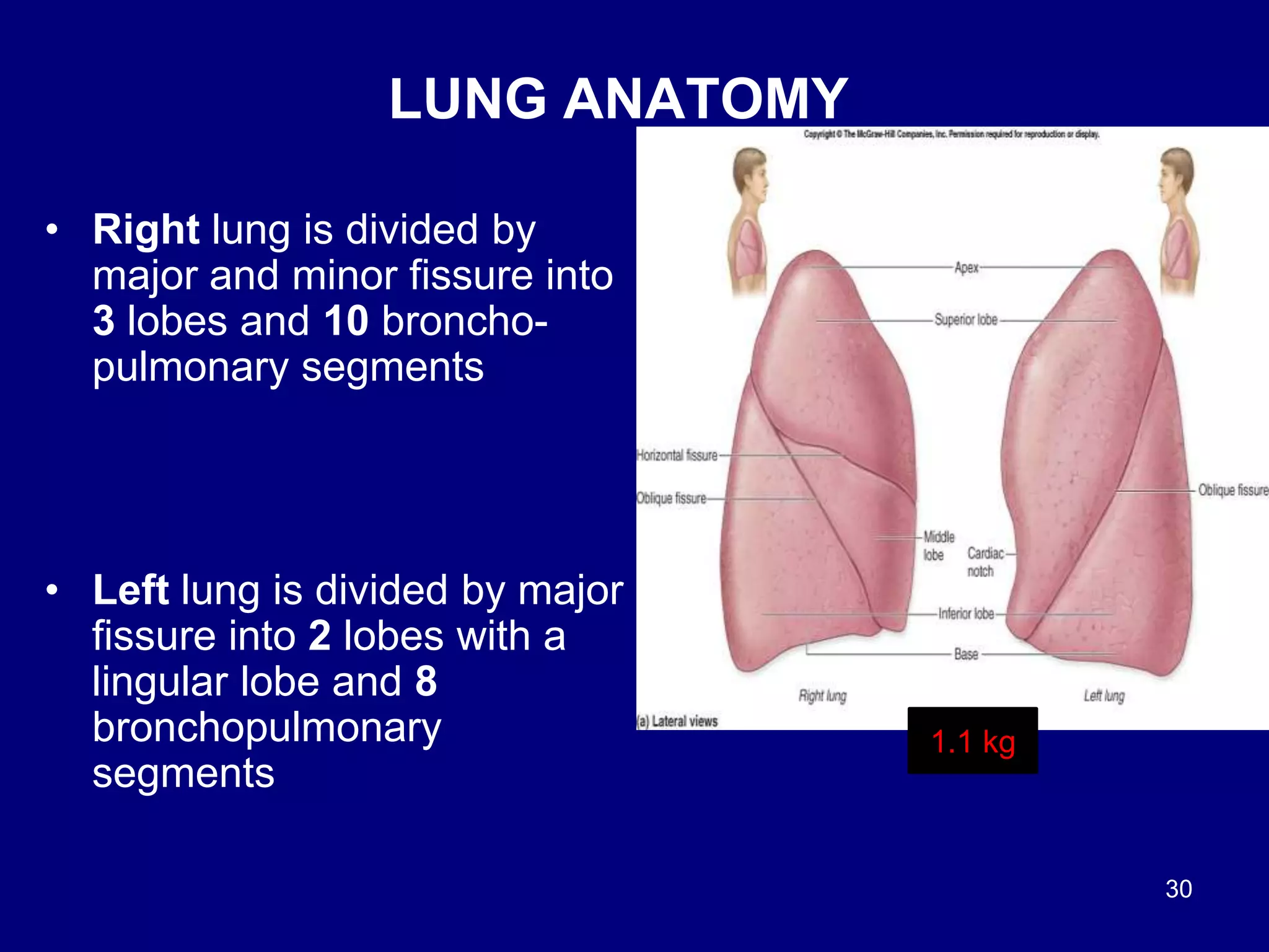 Technical aspect of hrct; normal lung anatomy & hrct findings of lung ...