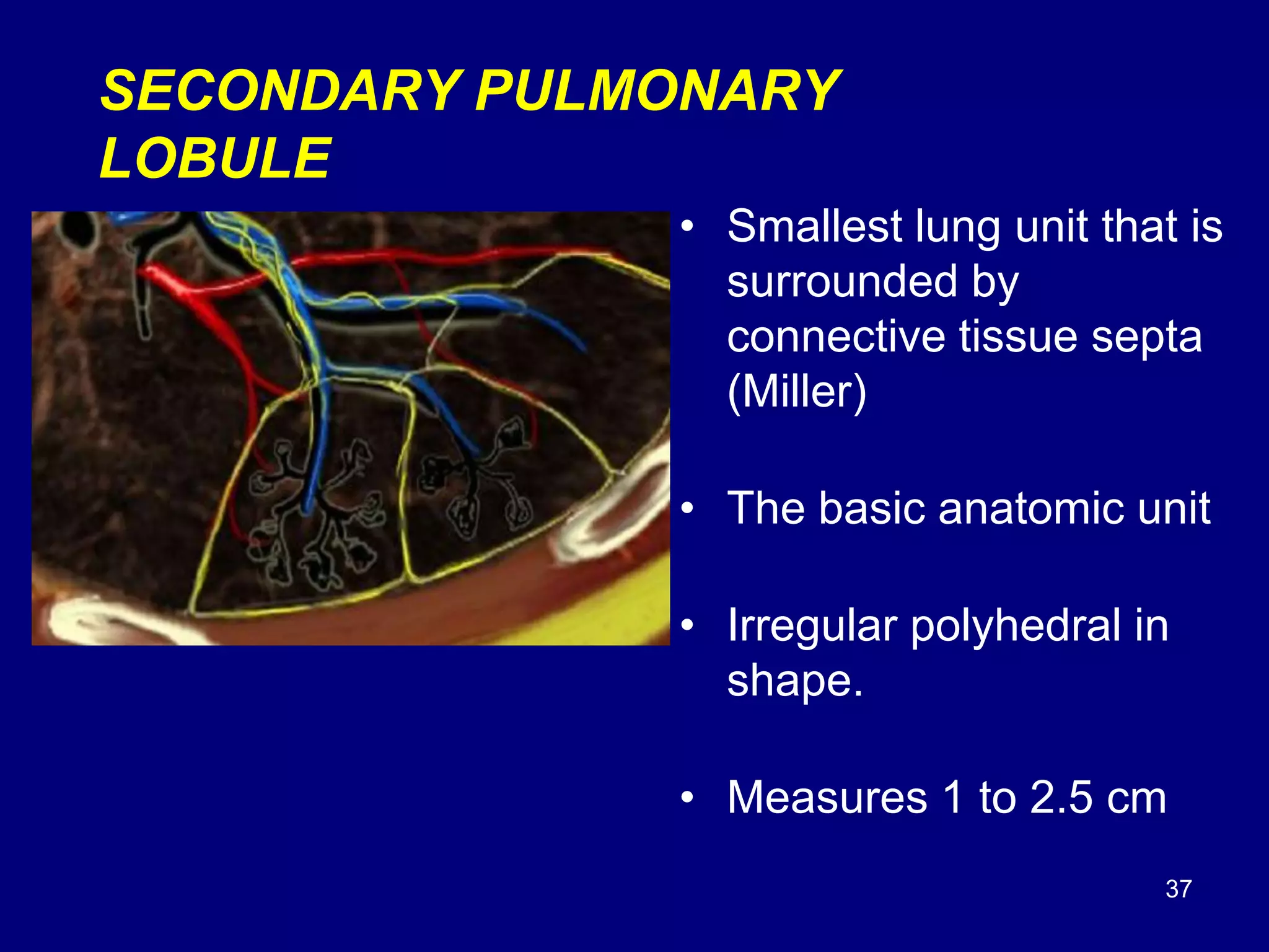 Technical aspect of hrct; normal lung anatomy & hrct findings of lung ...