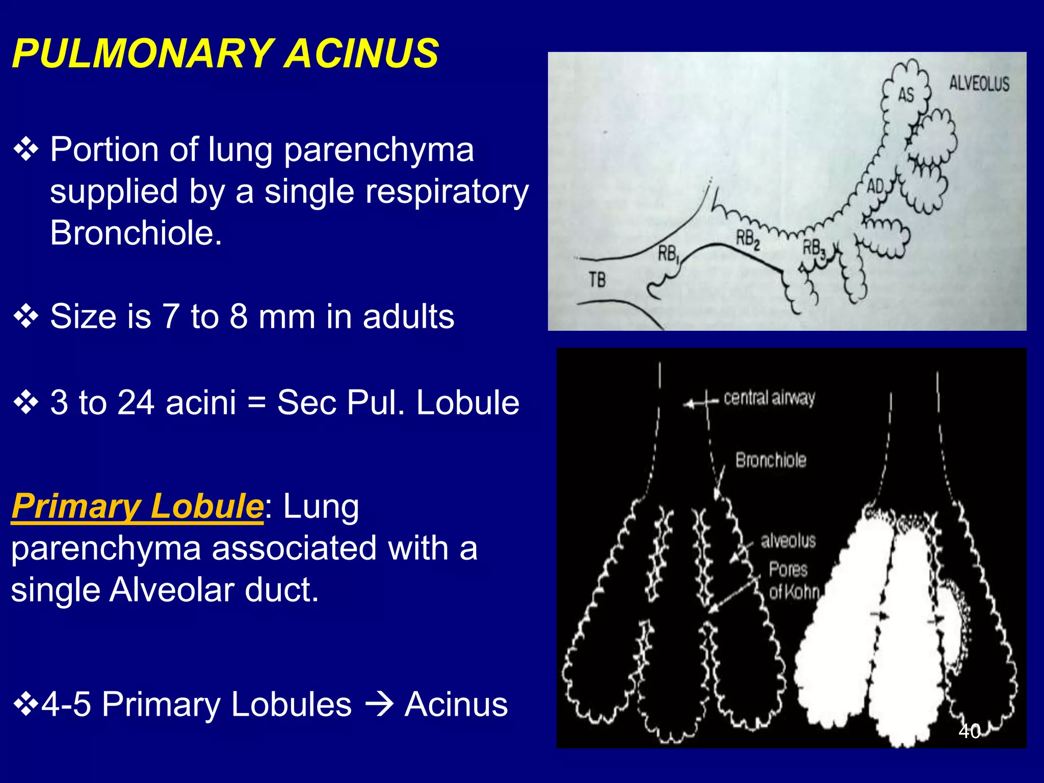 Technical aspect of hrct; normal lung anatomy & hrct findings of lung ...