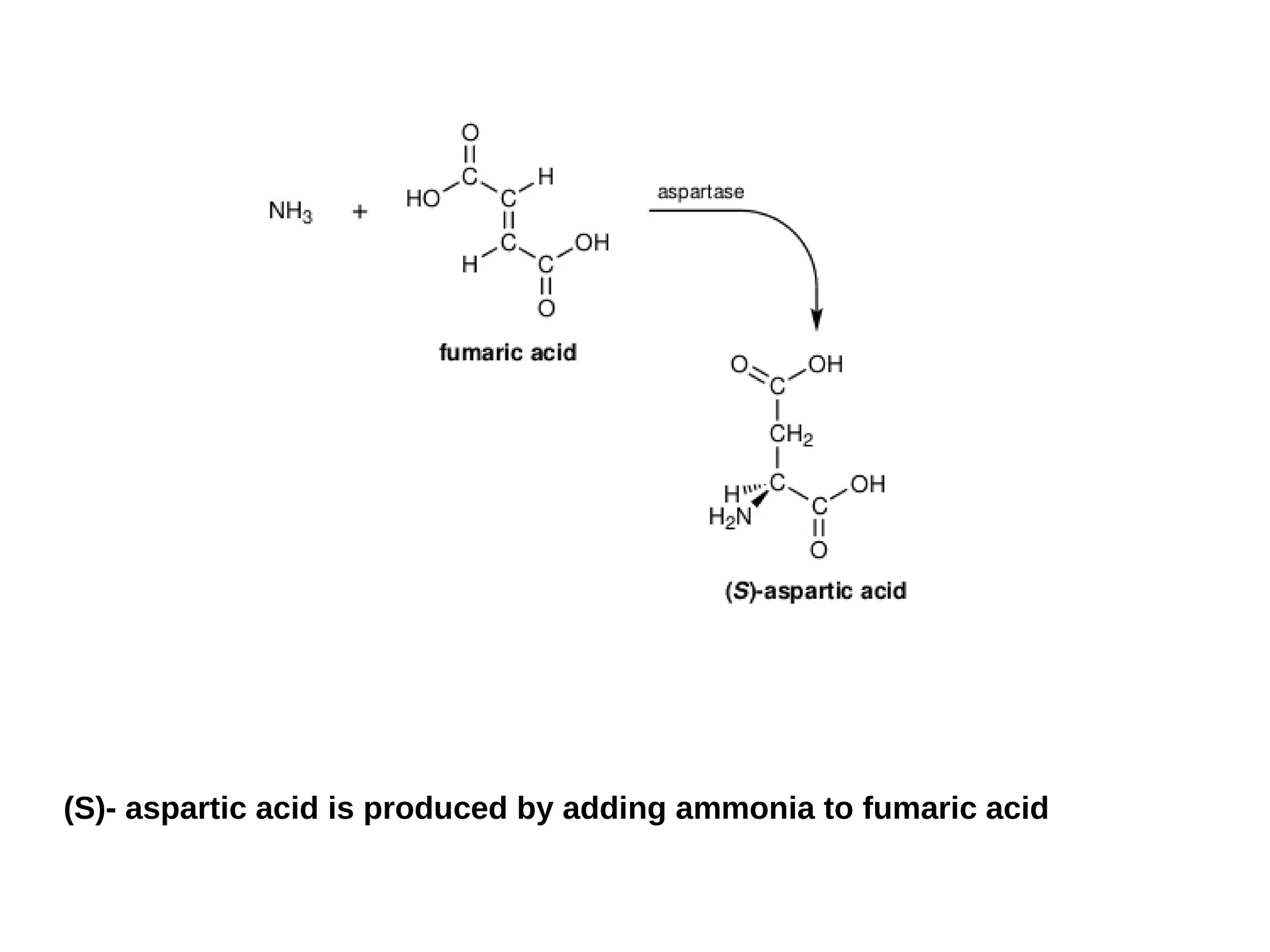 Technical aspects of production of amino acids.. | PDF