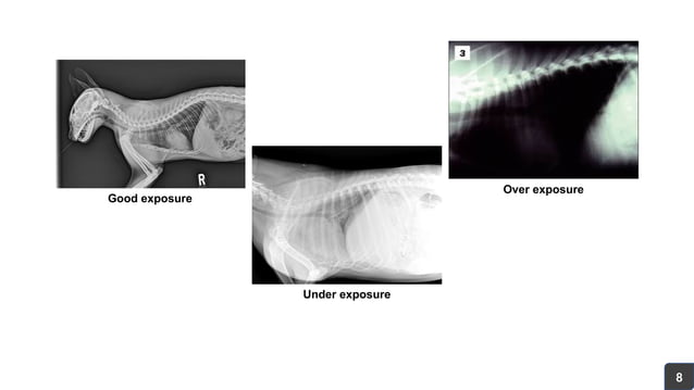Technical chart for Veterinary Radiography.pptx