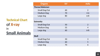 Technical chart for Veterinary Radiography.pptx