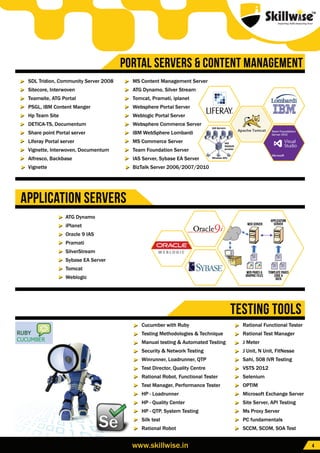 Skillwise_Technical competency | PDF
