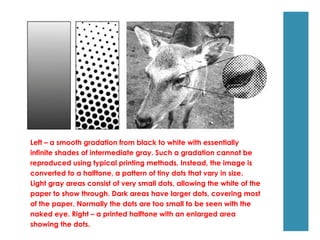 Technical concepts for graphic design production 3 | PDF | Photo ...