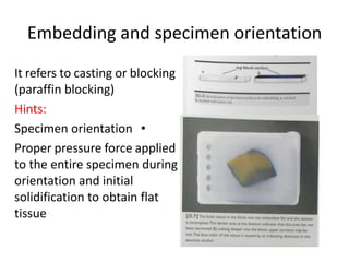 Technical faults in histopathology lab | PPTX