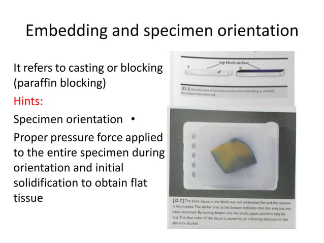 Technical faults in histopathology lab | PPTX