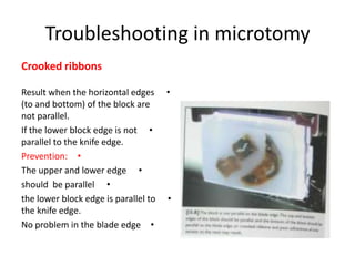Technical faults in histopathology lab | PPTX