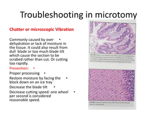 Technical faults in histopathology lab | PPTX