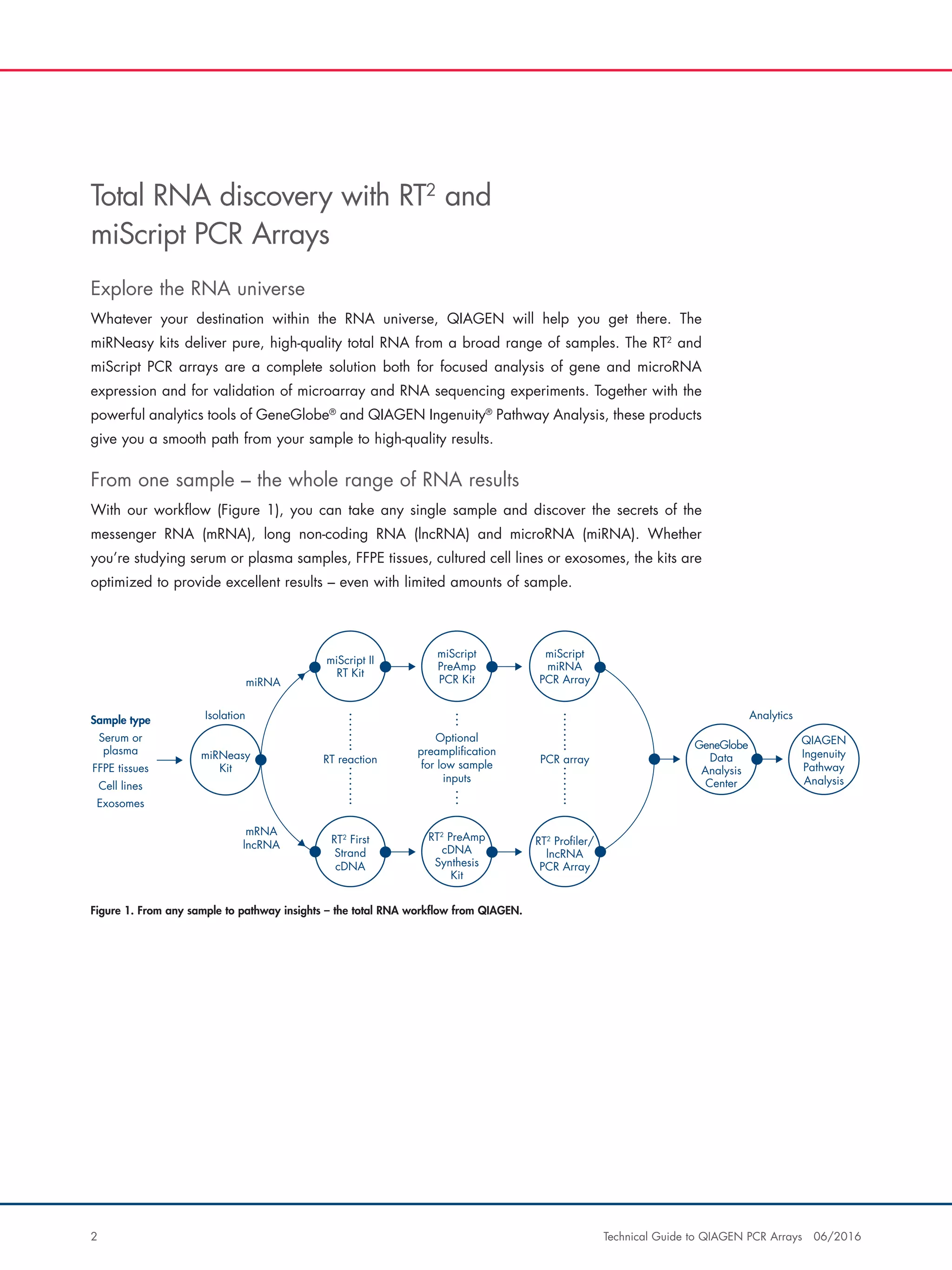 Technical Guide to Qiagen PCR Arrays - Download the Guide | PDF