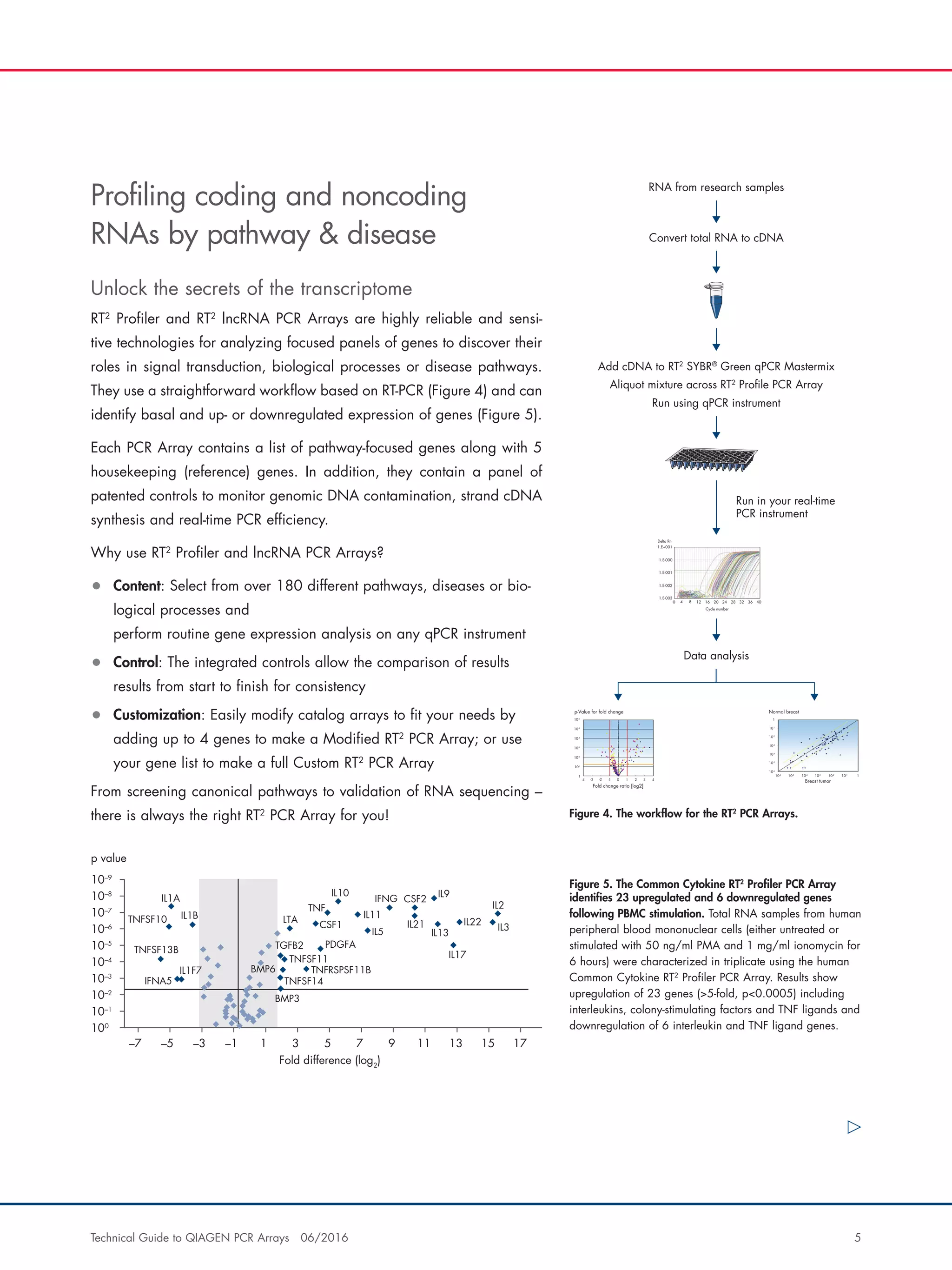 Technical Guide to Qiagen PCR Arrays - Download the Guide | PDF