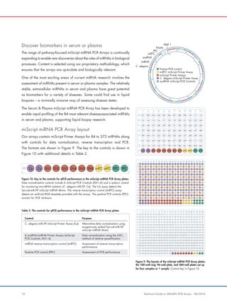 Technical Guide to Qiagen PCR Arrays - Download the Guide | PDF