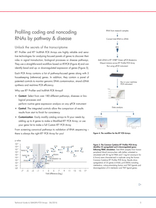 Technical Guide to Qiagen PCR Arrays - Download the Guide | PDF
