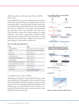 Technical Guide to Qiagen PCR Arrays - Download the Guide | PDF
