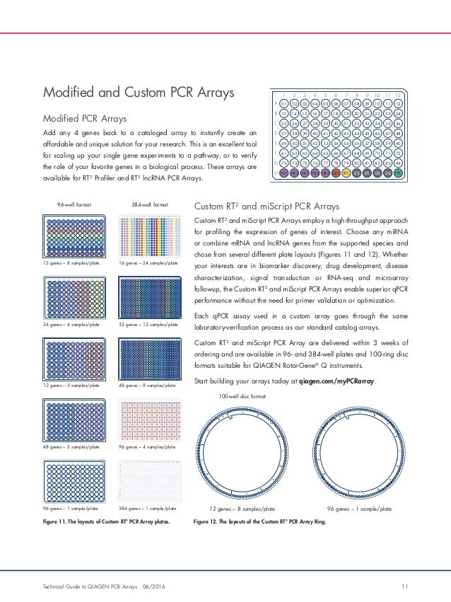 Technical Guide to Qiagen PCR Arrays - Download the Guide