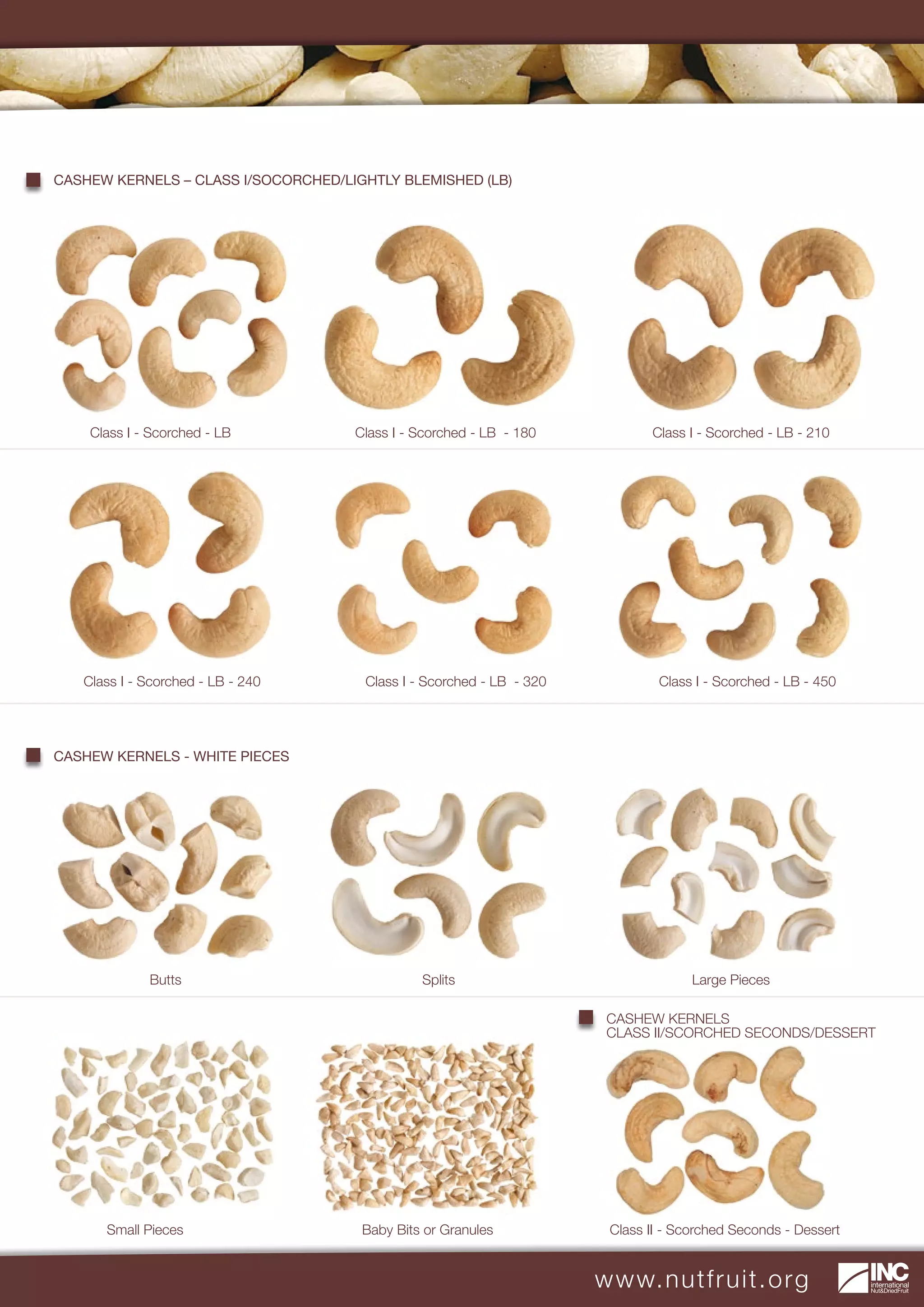 Cashew Technical Information Kit | PDF