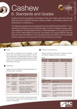 Cashew Technical Information Kit | PDF
