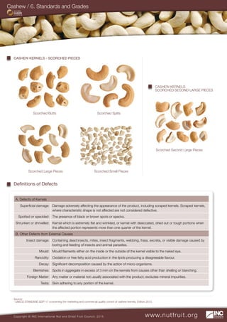 Cashew Technical Information Kit | PDF