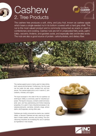 Cashew Technical Information Kit | PDF