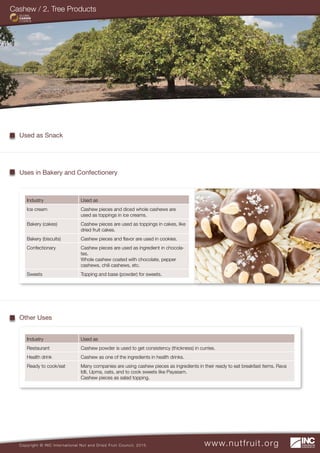 Cashew Technical Information Kit | PDF