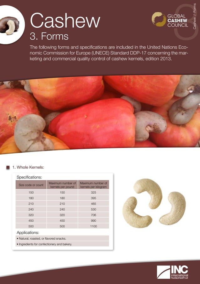 Cashew Technical Information Kit | PDF