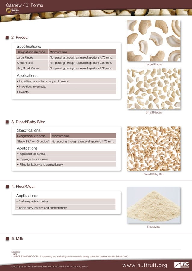 Cashew Technical Information Kit | PDF