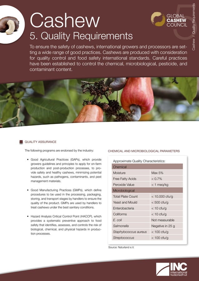 Cashew Technical Information Kit | PDF