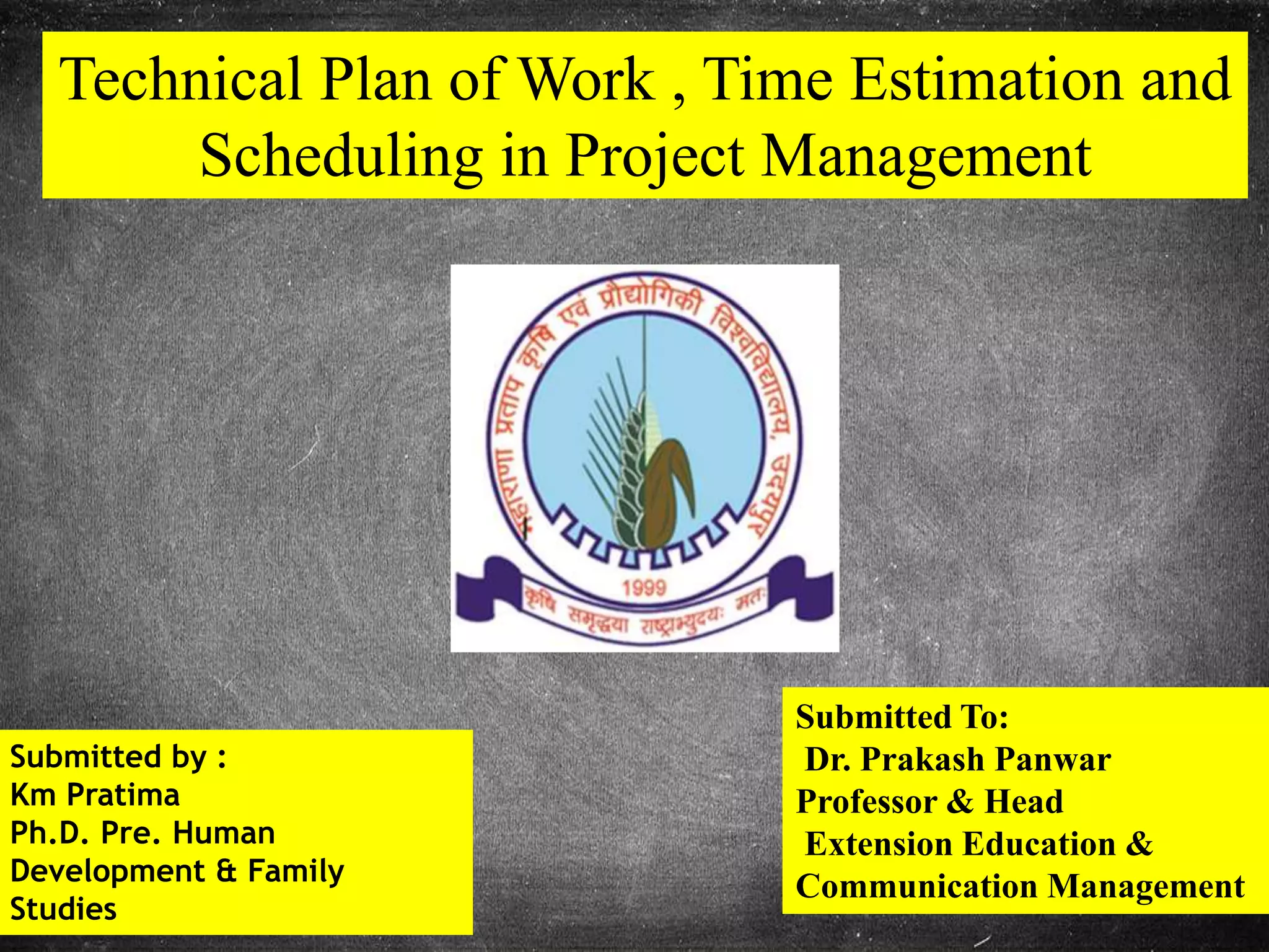Technical plan of work , project management | PPT