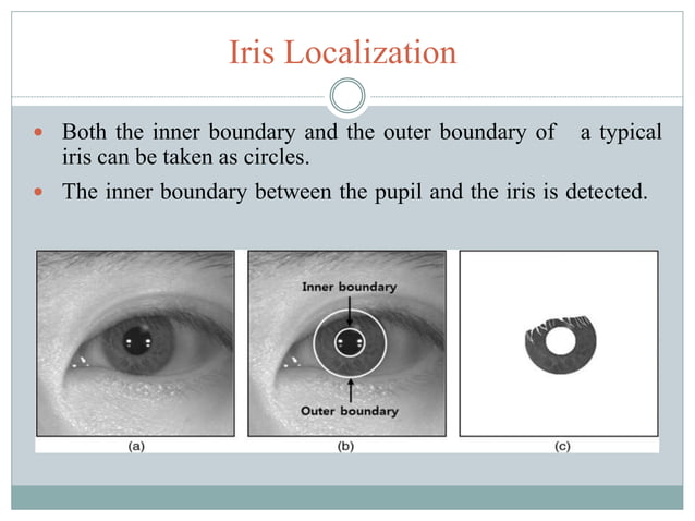Iris recognition | PPTX
